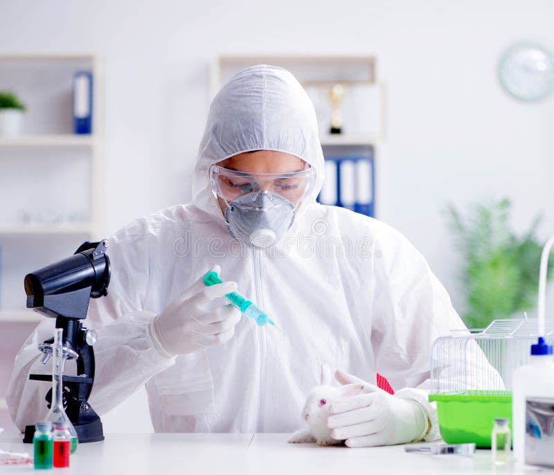 Scientist Doing Animal Experiment in Lab with Rabbit Stock Photo ...