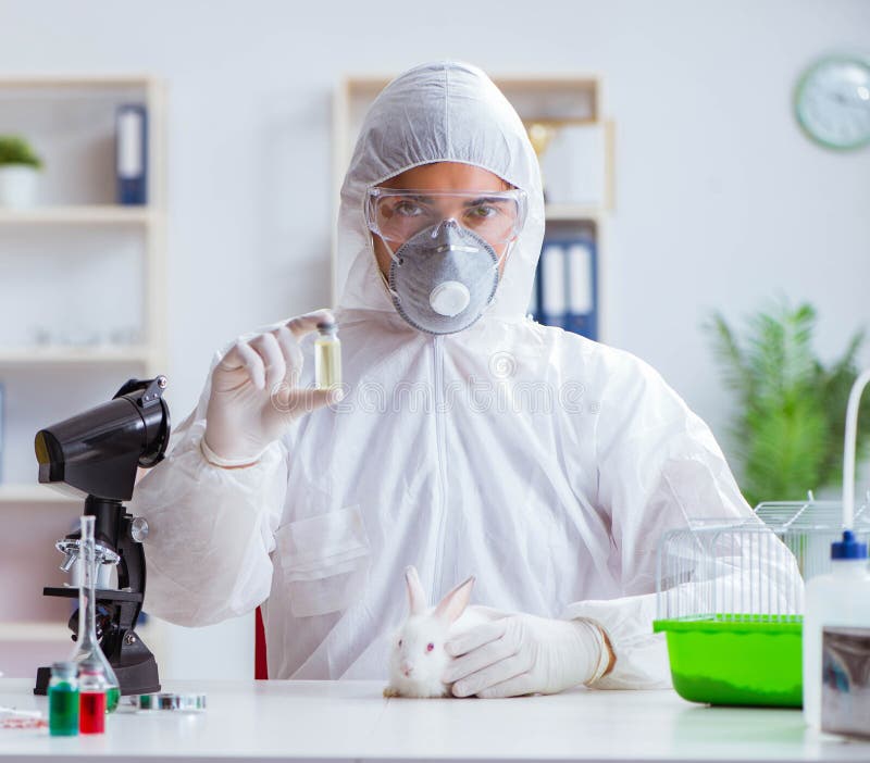Scientist Doing Animal Experiment in Lab with Rabbit Stock Photo ...