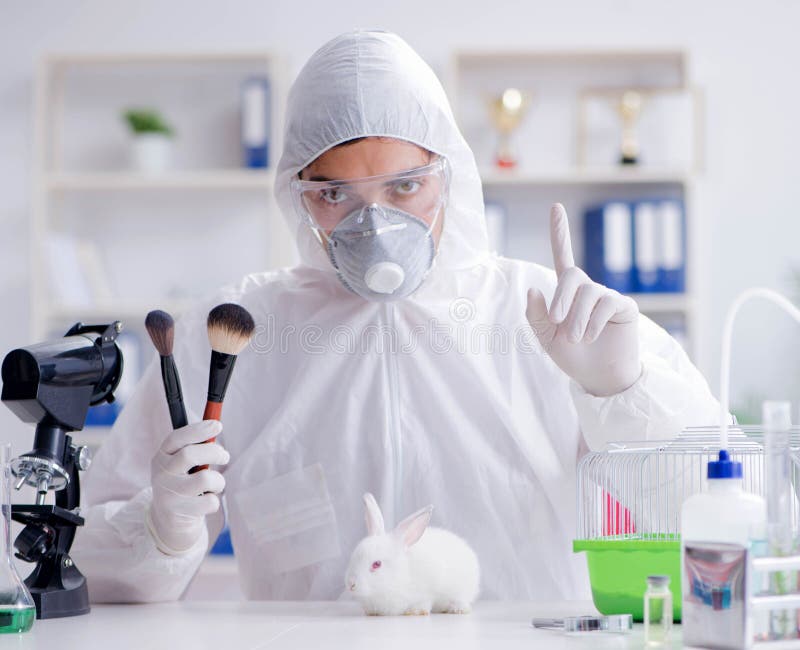 Scientist Doing Animal Experiment in Lab with Rabbit Stock Photo ...