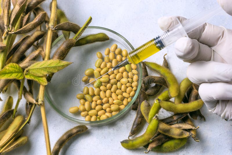 Scientist Doing Experiment with Microscope Stock Photo - Image of ...