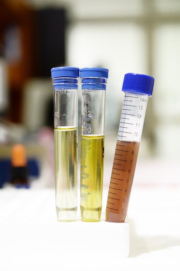 Scientist Doing Chemical Test Stock Photo - Image of hold, education ...