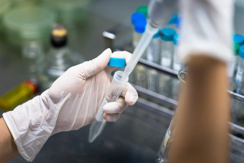 Scientist Doing Chemical Test in Laboratory Stock Image - Image of ...