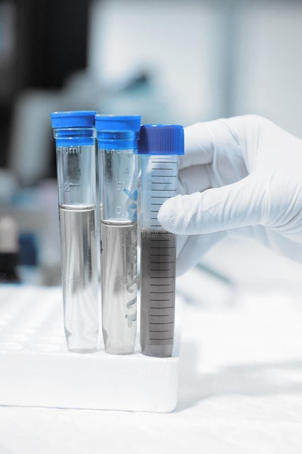 Scientist Doing Chemical Test in Laboratory Stock Image - Image of ...