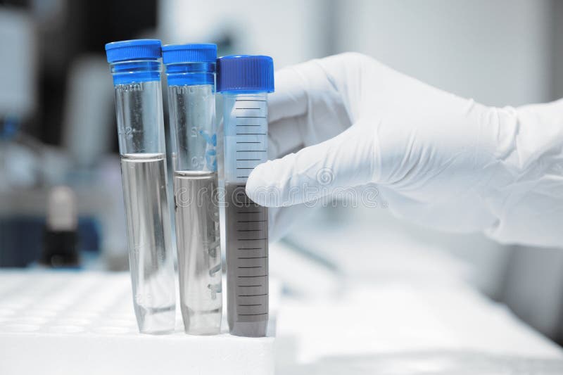 Scientist Doing Chemical Test in Laboratory Stock Photo - Image of ...