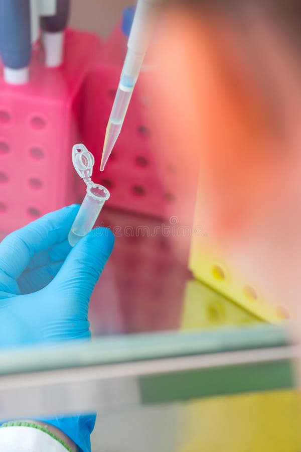 Scientist Doing Laboratory Test Stock Photo - Image of equipment, focus ...