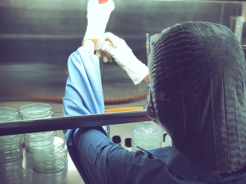 Scientist Doing the Microbiology Testing in Laminar Air Flow Cabinet at ...