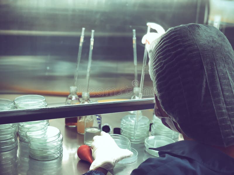 Scientist Doing the Microbiology Testing in Laminar Air Flow Cabinet at ...