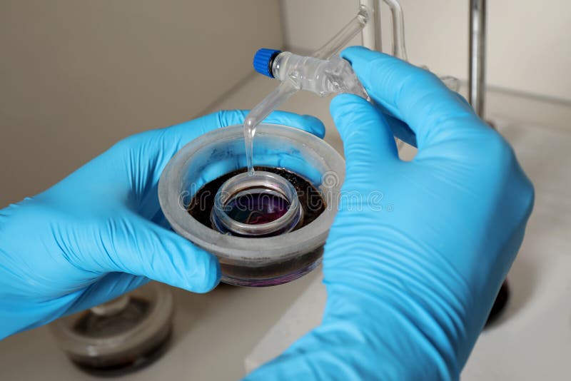 Scientist Doing Nitrogen Determination of Soil Sample at Table ...
