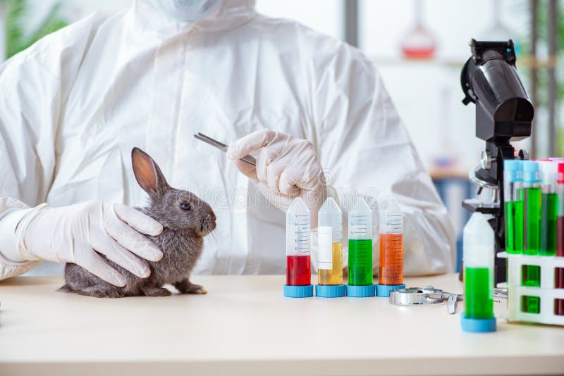 Tested Animals Stock Photos - Download 117 Royalty Free Photos