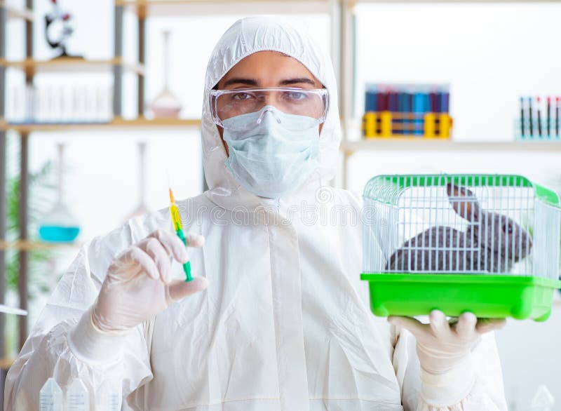 Scientist Doing Testing on Animals Rabbit Stock Photo - Image of cage ...