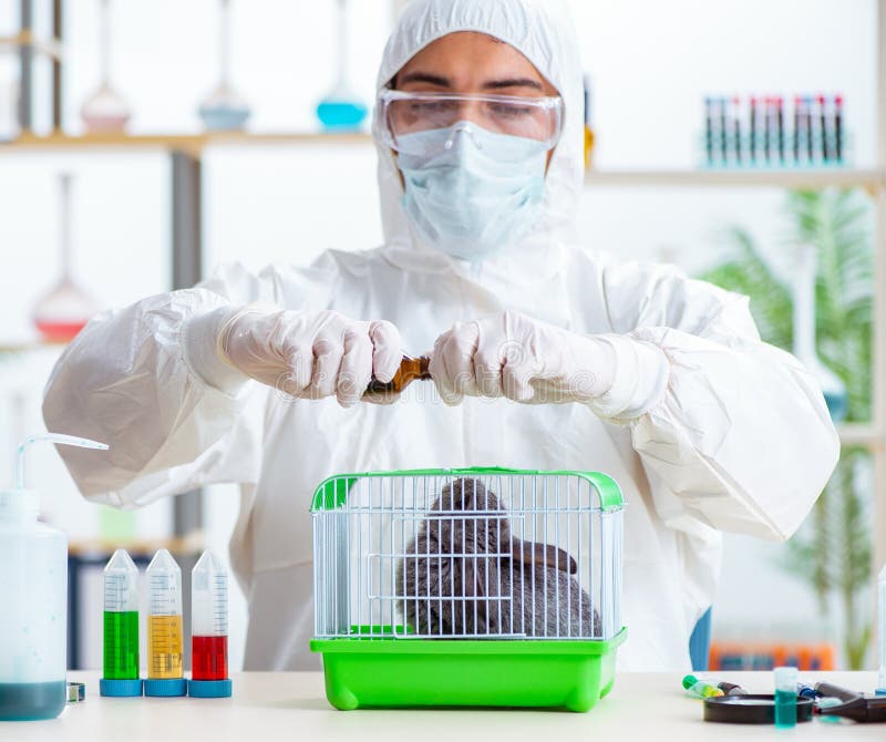 Scientist Doing Testing on Animals Rabbit Stock Image - Image of cage ...