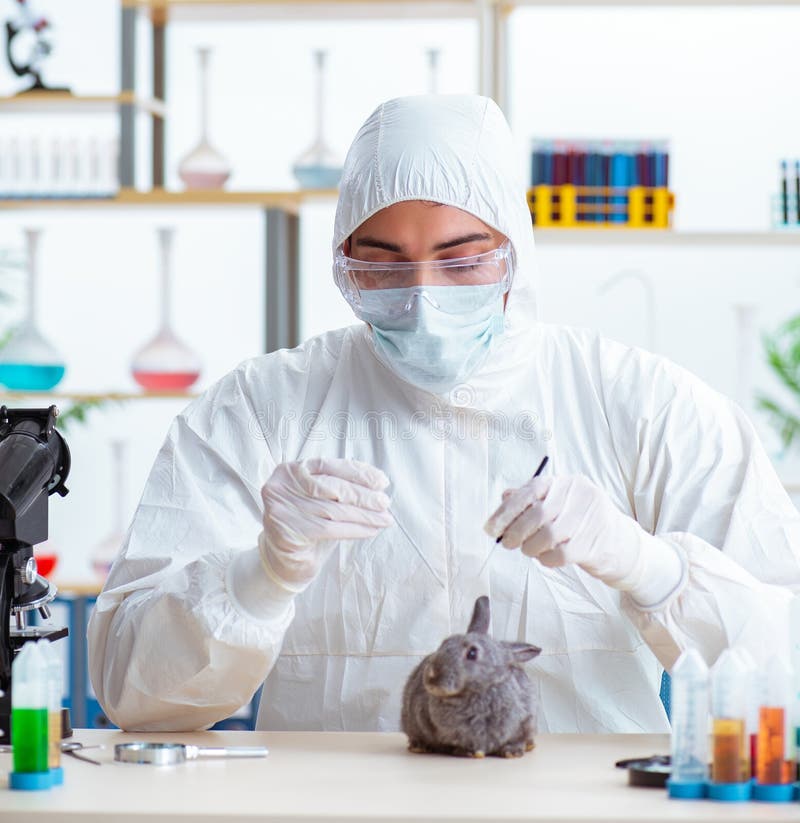 Scientist Doing Testing on Animals Rabbit Stock Image - Image of ...