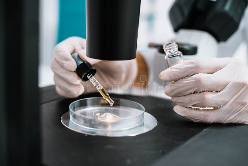 Scientist Drop of Yellow Liquid on Microscope Plate Stock Photo - Image ...