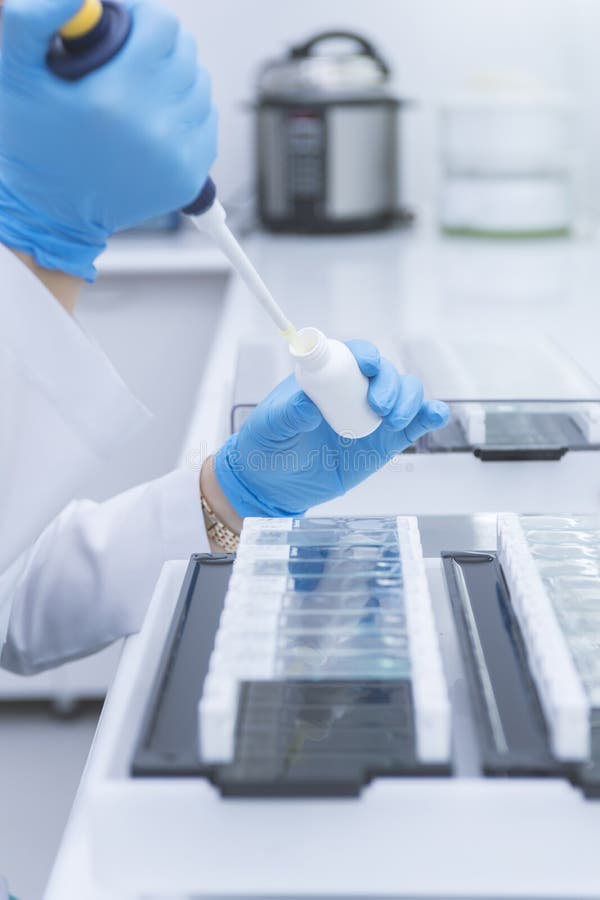 Concentrate Scientists Making an Experiment in a Laboratory Stock Image ...