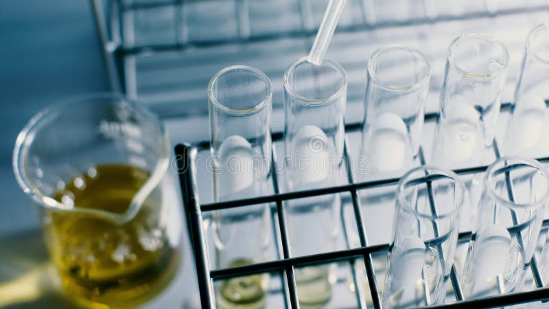 The Scientist Dropping the Chemical Solution in Test Tube in the ...