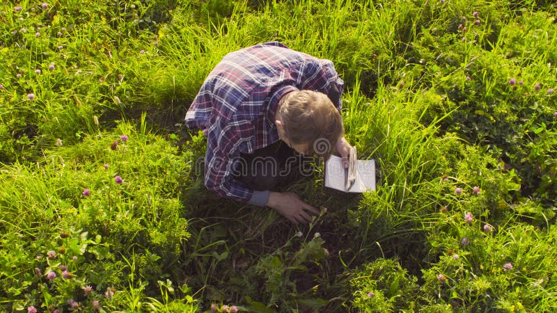 The Scientist Ecologist is Exploring the Plants Stock Image - Image of ...