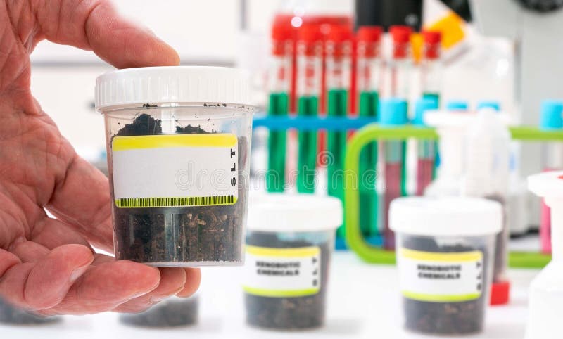 Scientist Ecologist Holds a Container with a Soil Sample for Chemical ...