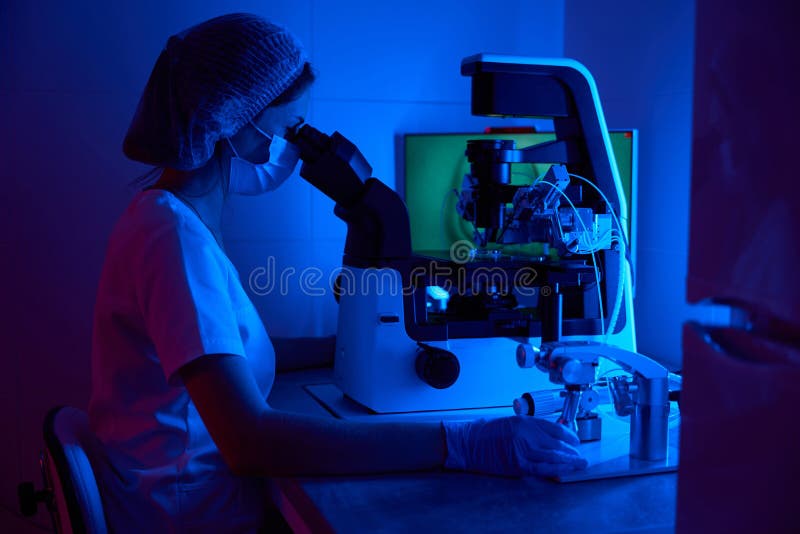 Scientist Embryologist in Mask Works with Biomaterial Under Microscope ...