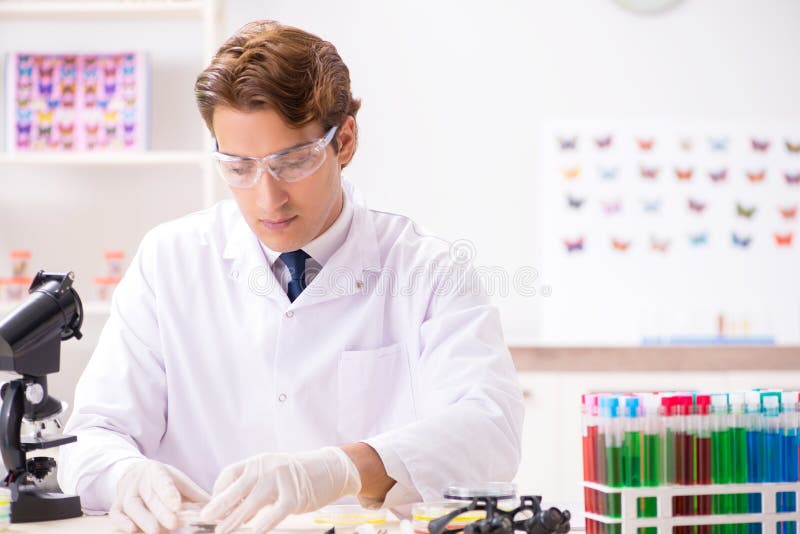 790 Bug Scientist Stock Photos - Free & Royalty-Free Stock Photos from ...