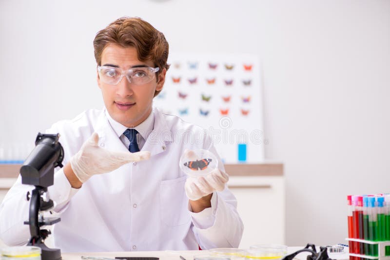 790 Bug Scientist Stock Photos - Free & Royalty-Free Stock Photos from ...
