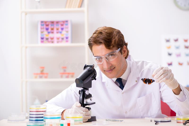 790 Bug Scientist Stock Photos - Free & Royalty-Free Stock Photos from ...