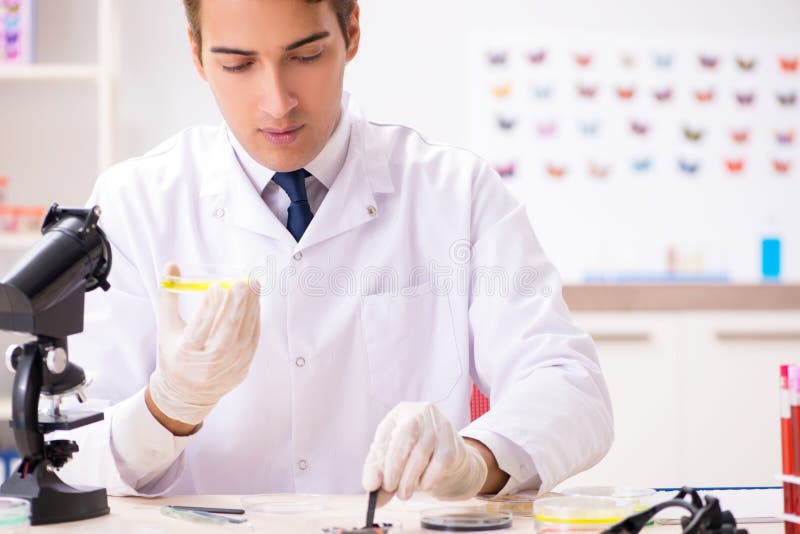 The Scientist Entomologist Studying New Butterfly Species Stock Photo ...