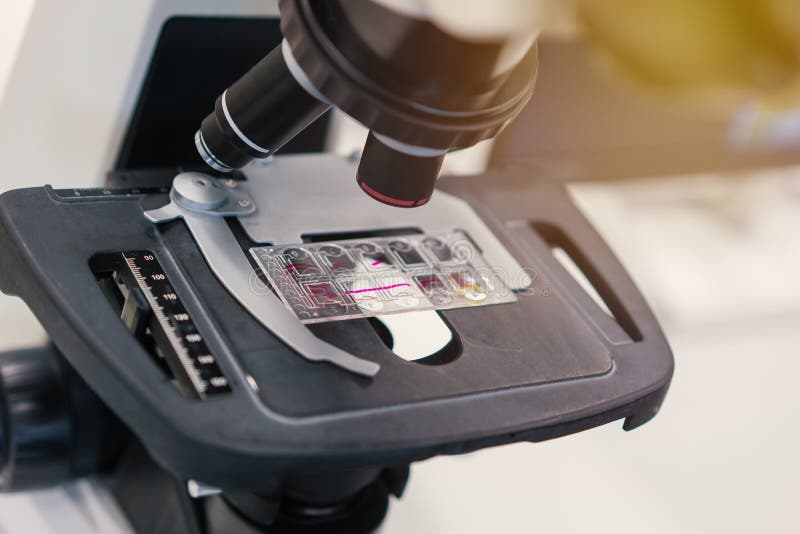 Scientist with Equipment and Science Experiments, Laboratory Glassware ...