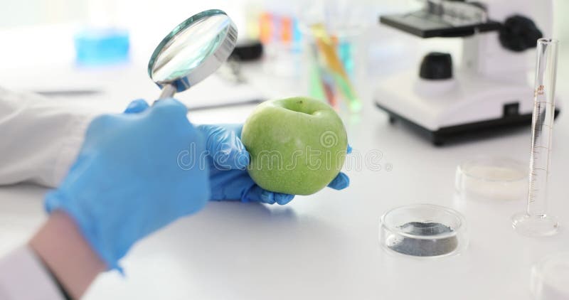 Scientist Examines Green Apple Using Magnifying Glass in Laboratory ...