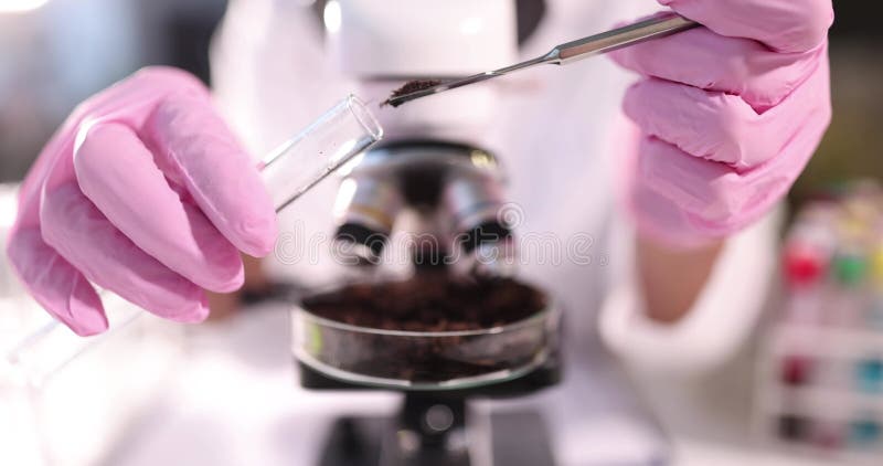 Scientist Examines Soil Samples in Laboratory Slow Motion 4k Movie ...