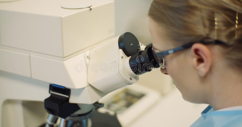 Scientist Examining Bacteria Under Microscope at Laboratory Stock Video ...