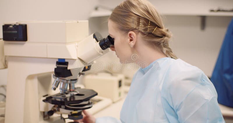 Scientist Examining Bacteria Under Microscope at Laboratory Stock Video ...