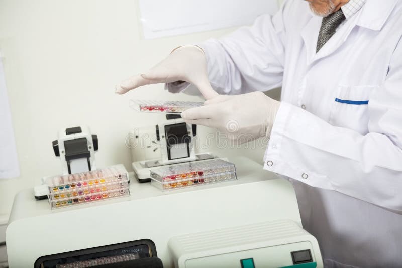 Scientist Examining Microplate in Lab Stock Image - Image of clinical ...