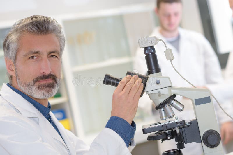 Scientist Examining Sample with Microscope in Laboratory Stock Photo ...