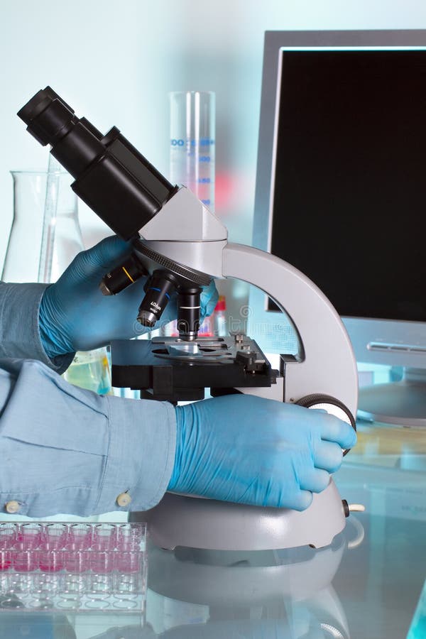 Scientist Examining Samples in the Micro in Analytical Laboratories ...
