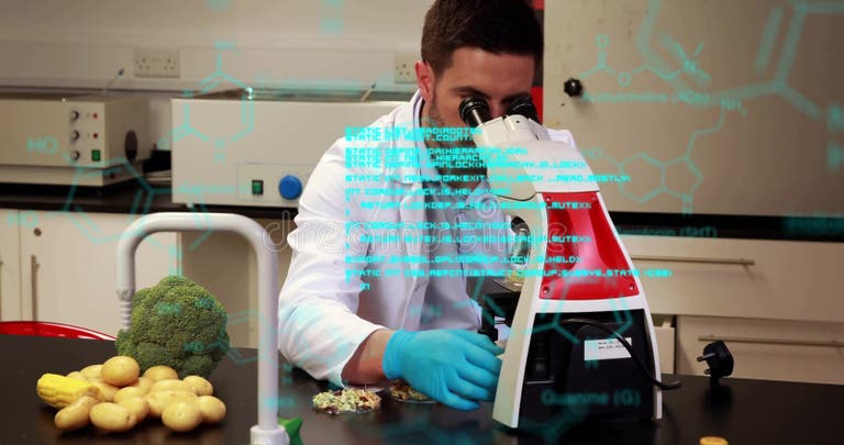 Scientist Examining Samples Under Microscope, Molecular Structure Image ...