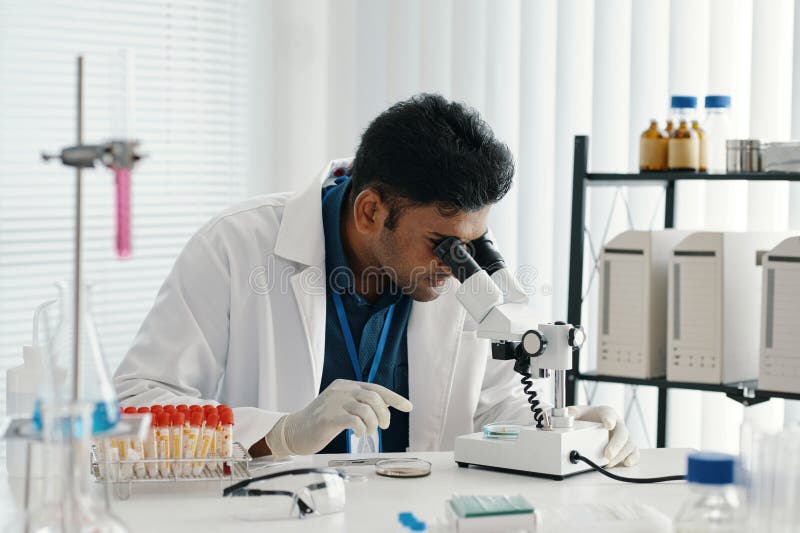 Scientist Examining Samples Using Laboratory Microscope Stock Photo ...