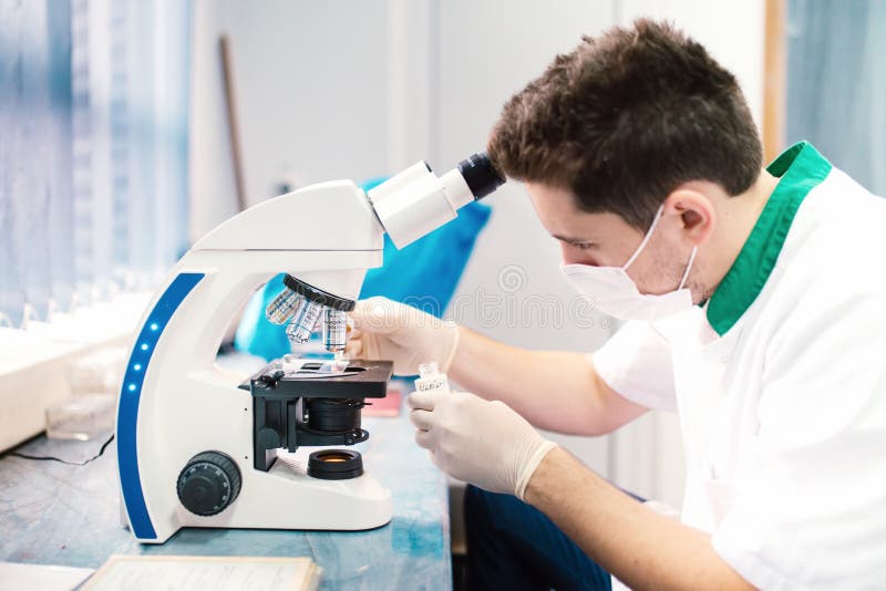 Scientist Examining Samples and Working with Microscope, Stock Photo ...