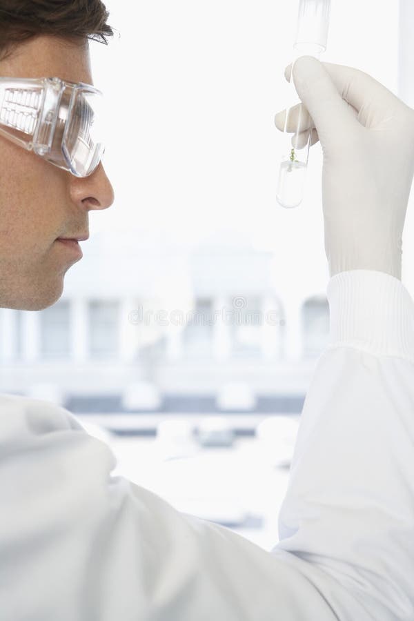 Scientist Examining Solution in Test Tube Stock Photo - Image of person ...
