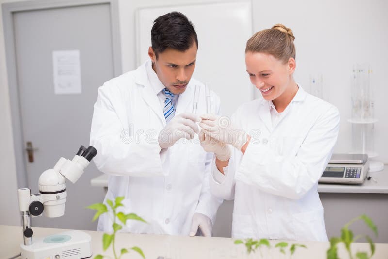 Scientist examining tubes stock photo. Image of biology - 53084100