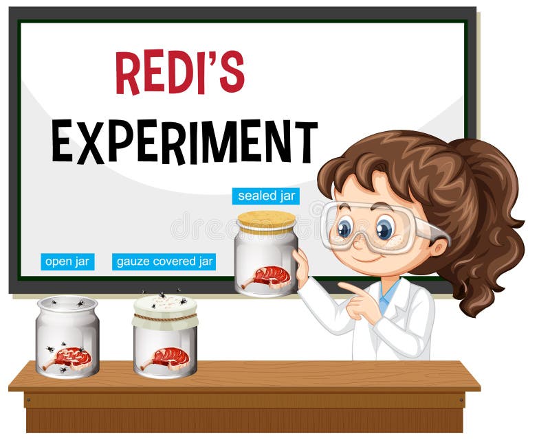 Redi Experiment Stock Illustrations – 12 Redi Experiment Stock ... Redi Experiment Stock Illustrations – 12 Redi Experiment Stock ...