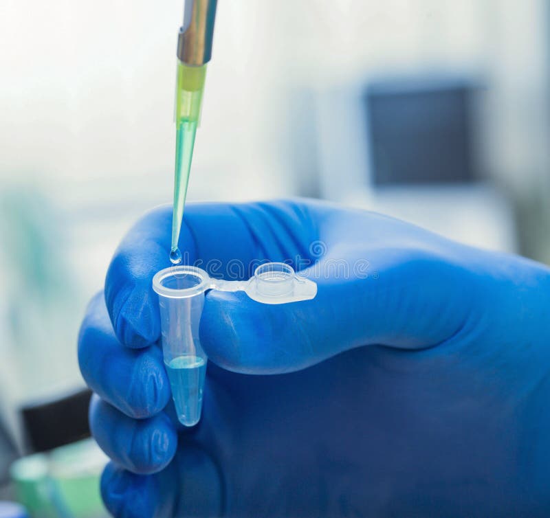 Scientist Filling Test Tube Science Lab Stock Photo - Image of ...