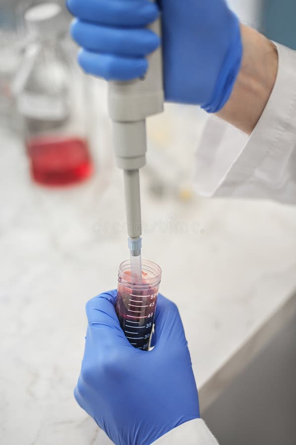 Scientist Filling Test Tubes with Pipette in Laboratory Stock Photo ...