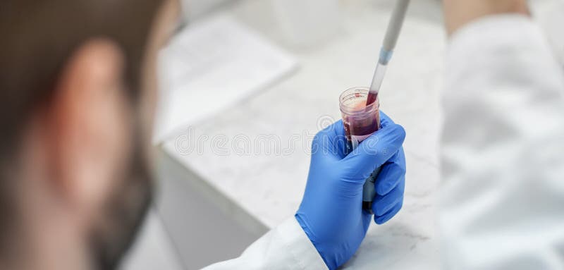 Scientist Filling Test Tubes with Pipette in Laboratory Stock Photo ...