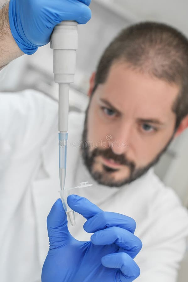 Scientist Filling Test Tubes with Pipette in Laboratory Stock Photo ...