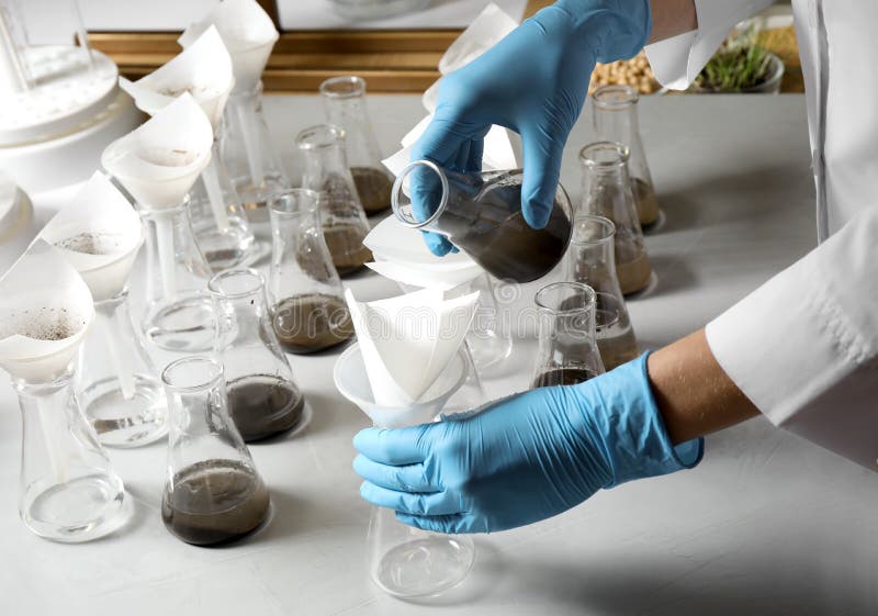 Scientist Filtering Soil Samples at Table. Laboratory Analysis Stock ...