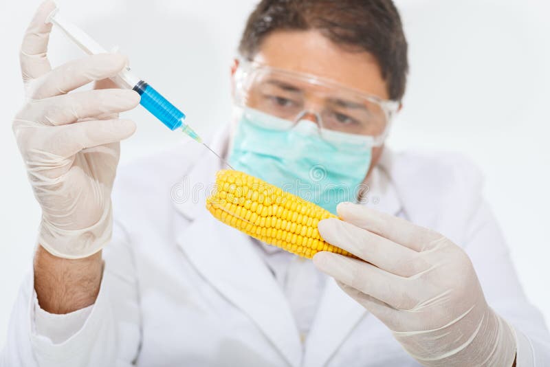 Scientist Genetically Modifying Fruits and Vegetables in the Laboratory ...