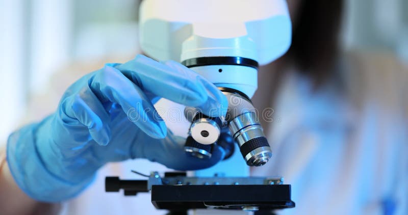 Scientist in Gloves Studies Sample Using Microscope in Lab Stock Video ...