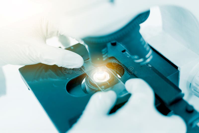 Scientist Hand Holding Laboratory Test Tube, Science Laboratory Stock ...