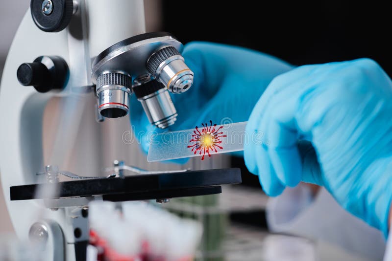 Scientist Hand Holding Test Sample Slide on Science Microscope in Lab ...