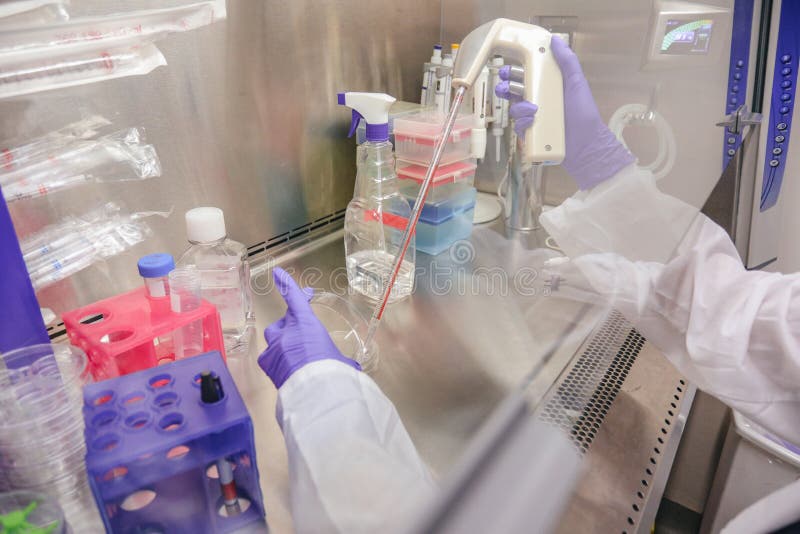 Scientist Hand Making Laboratory Research. Stock Photo - Image of glove ...